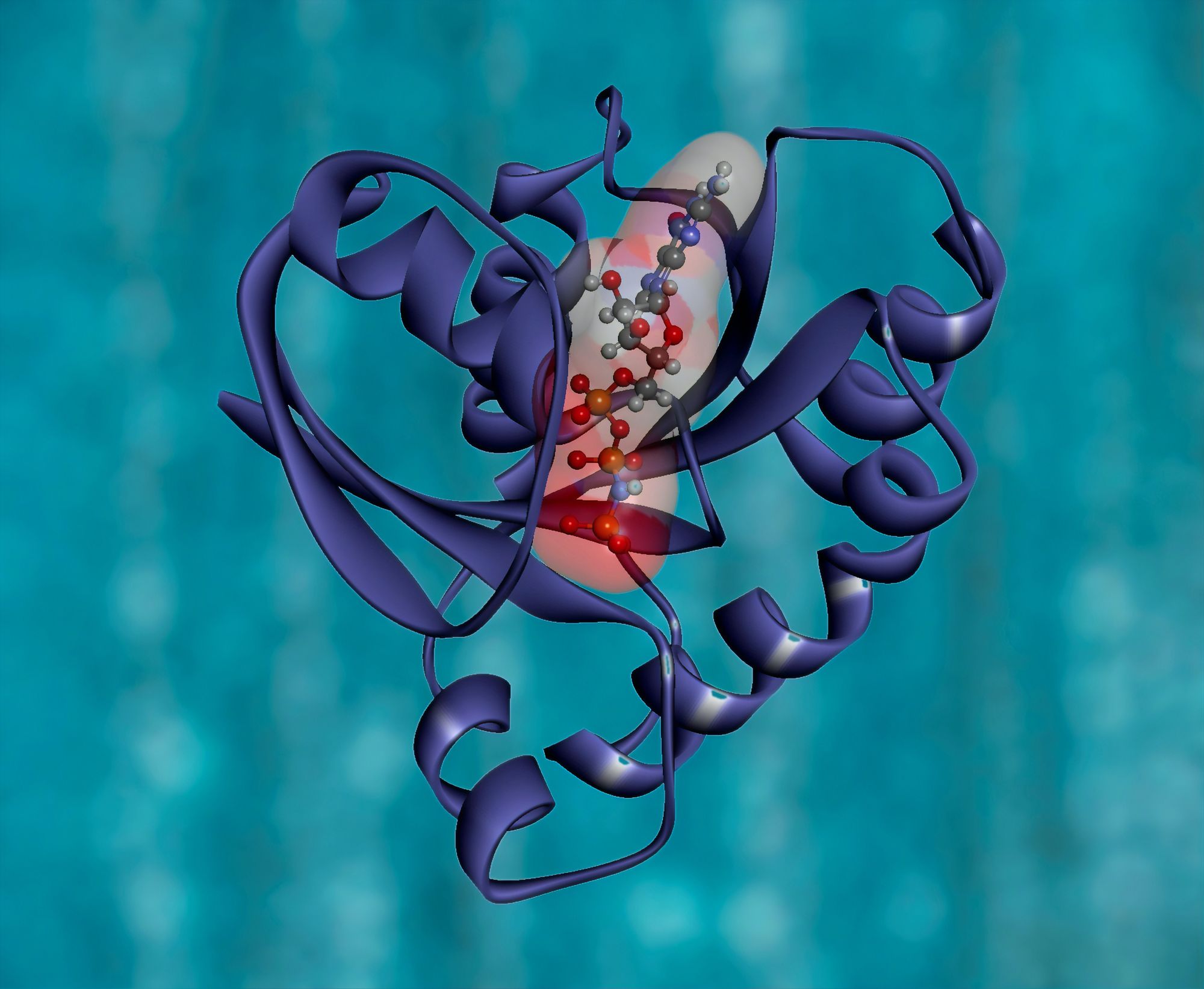 Head-to-head: Quantum Si vs Nautilus Biotechnology