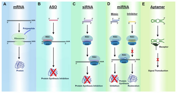 An Overview of RNA Technologies