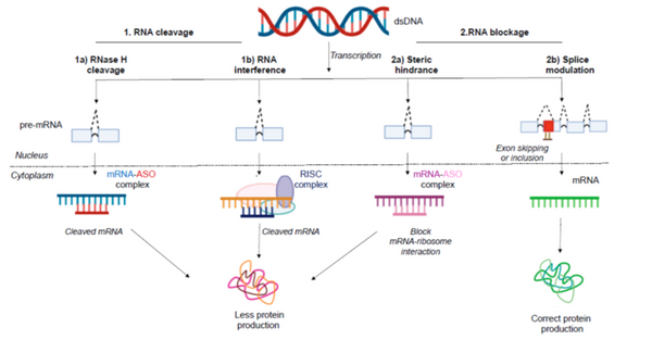 An Overview of RNA Technologies