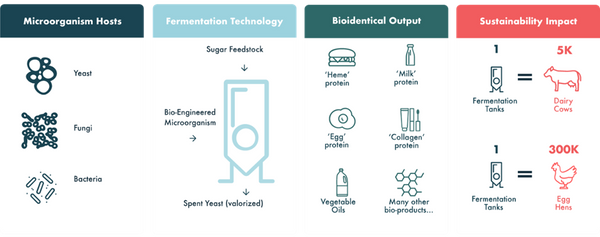 Can Precision Fermentation together with Synthetic Biology Help to ...