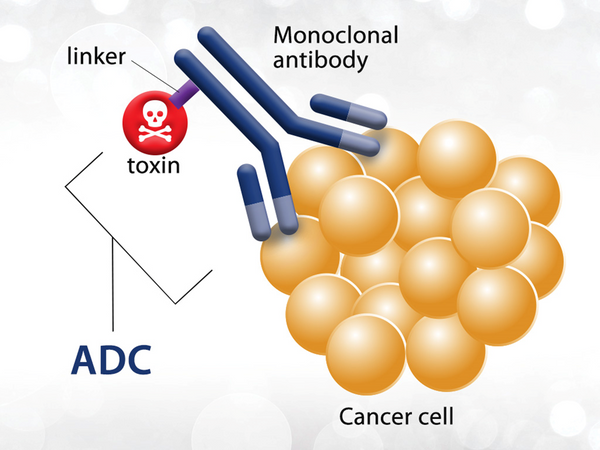Exploring Drug Modalities: Small Molecules, Biologics, RNA, Cell & Gene ...